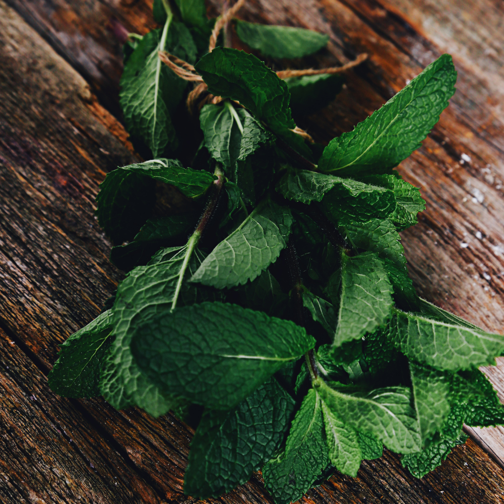 Fragancia menta Fresh - Fragancia cuidado personal - Boutic.cl