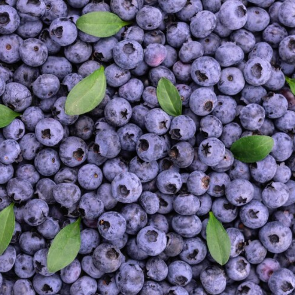 Violeta Red (Rojo Violeta) - Colores - Boutic